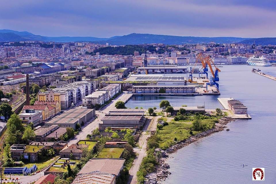 PORTO VECCHIO TRIESTE: PASSAGGIO AL COMUNE - Adriatic Sea Network ...